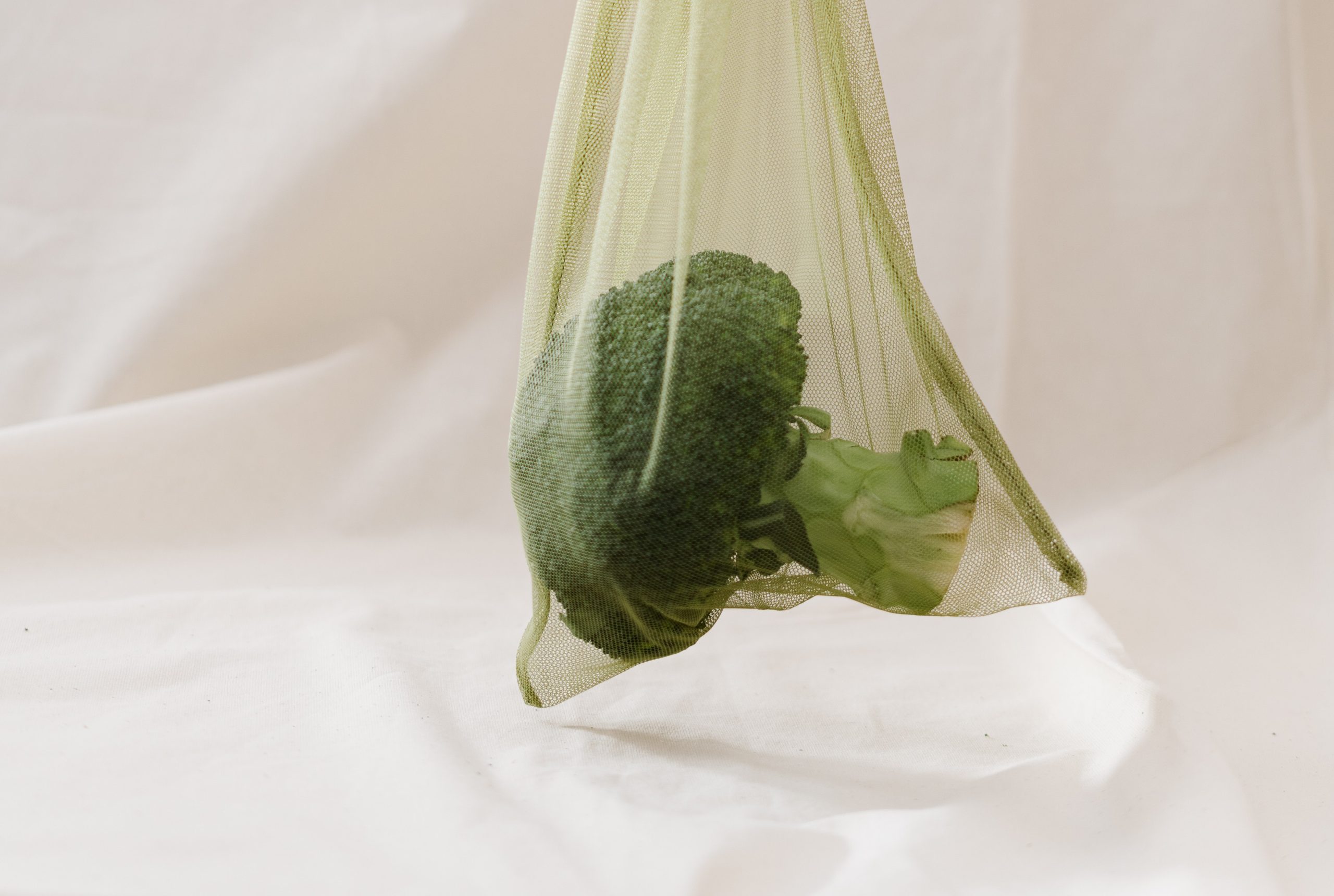 Alpaca solutions to reduce the carbon footprint at events - Eventlounge